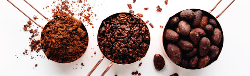 About Us – cocoamel.com